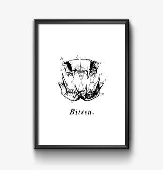 The Anatomy of a Bite | Sustainable Print – Mymble & Co
